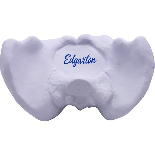 Hip Bone Stress Reliever | Health Promotions Now